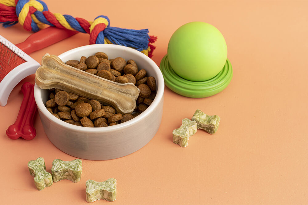 Essential Pet Supplies Every Pet Owner Needs – Pets Lounge
